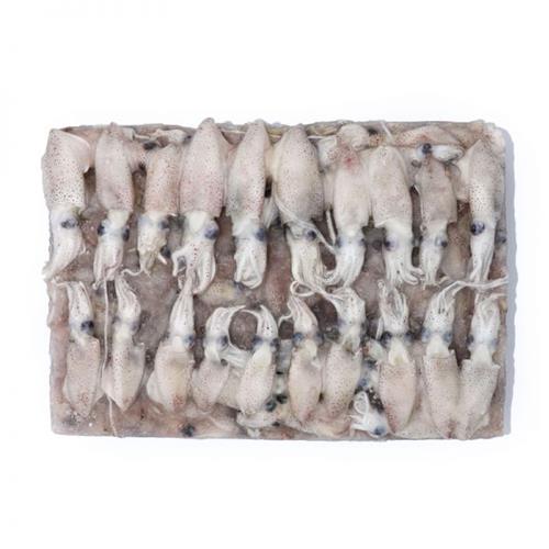 CALAMARETTO DEL PACIFICO BLOCCO 3-5 CM. LOLIOLUS JAPONICA SURGELATO (10 ...