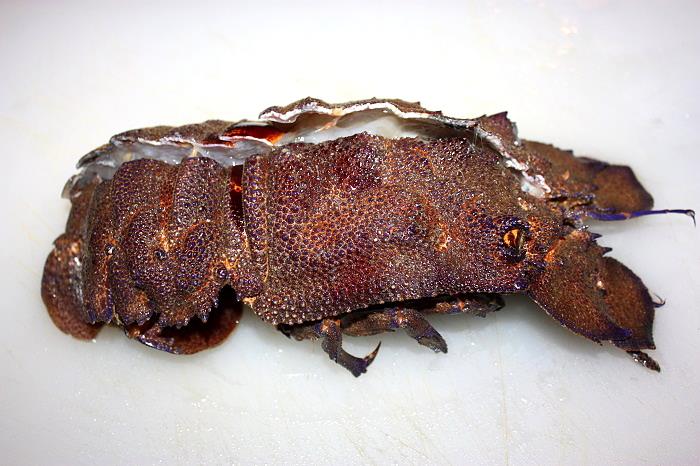 Surgelati Cicala Magnosa Catalogo Horecloud